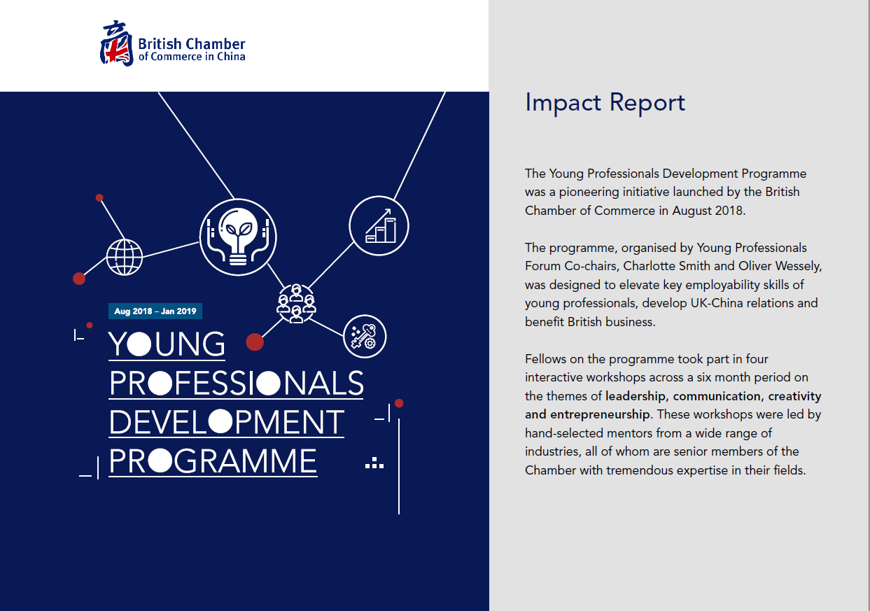 Young Professional Development Programme 2018-19 Impact Report ...